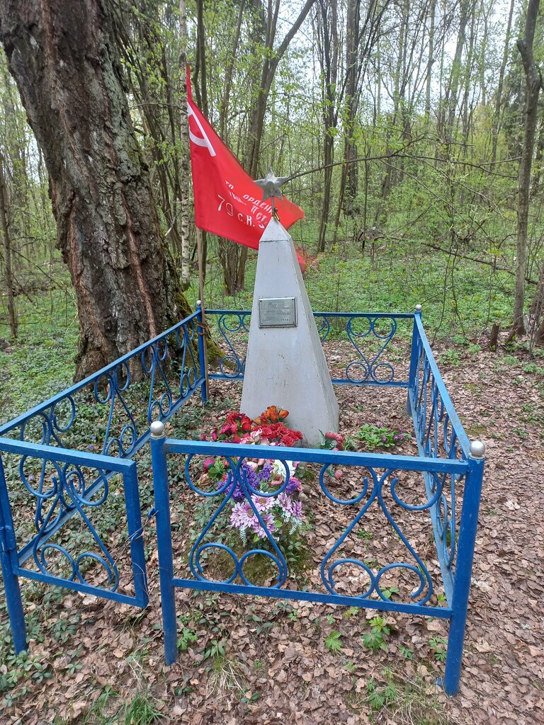 Anıt, heykel Могила неизвестного солдата нашей Родины павшего в 1941 году, Moskova ve Moskovskaya oblastı, foto