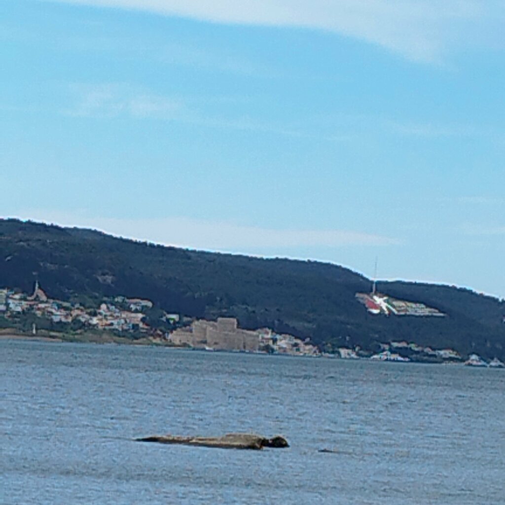 Anıt, heykel Dur Yolcu, Eceabat, foto