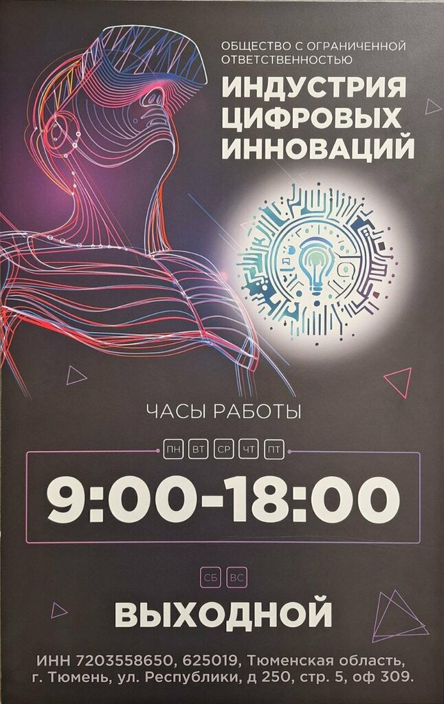 Bilişim firmaları Digital Innovation Industry, Tiumen, foto