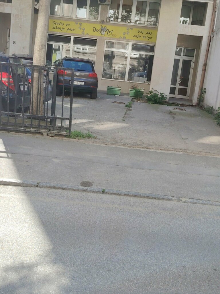 Evcil hayvan kuaförleri Dog art, Belgrad, foto