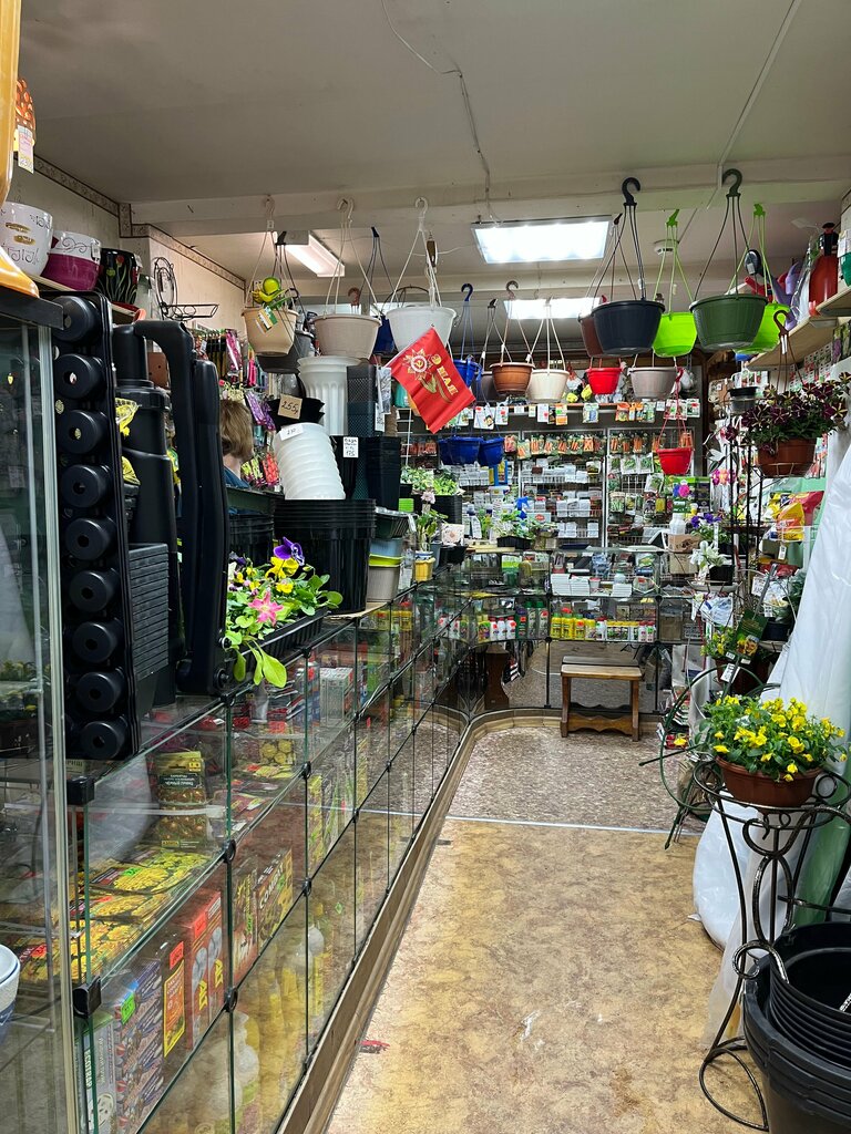 Mini-market Rachitel, Torzgok, foto