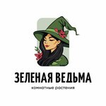 Зеленая Ведьма (Vosstania Street No:58), çiçekçiler  Kazan'dan