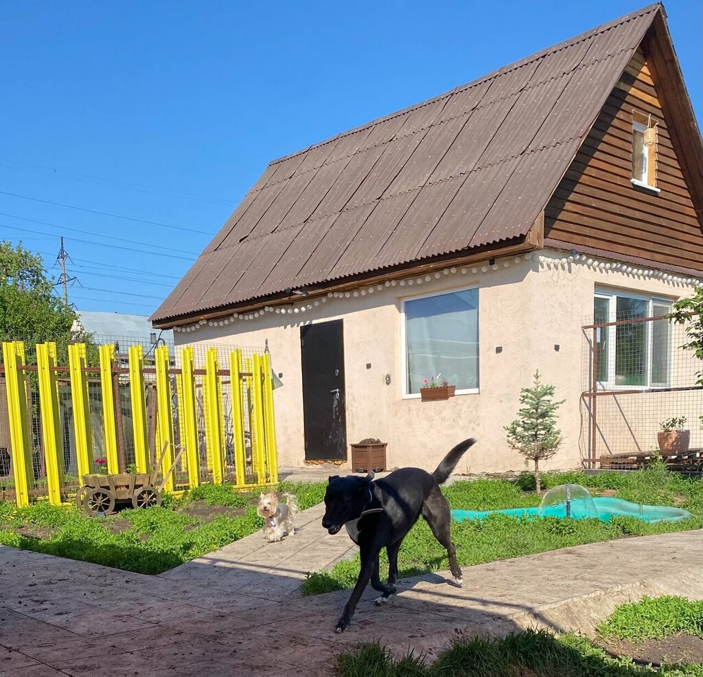 Pet otel Собачкина Дача, Samara, foto