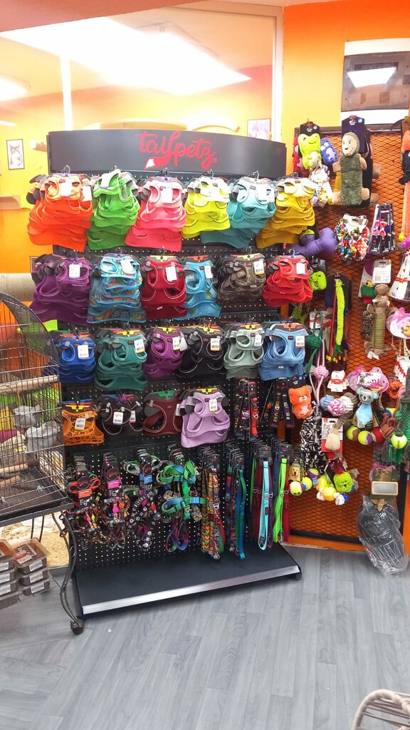 Petshop Bgr Pet Gross - Petshop, İstanbul, foto