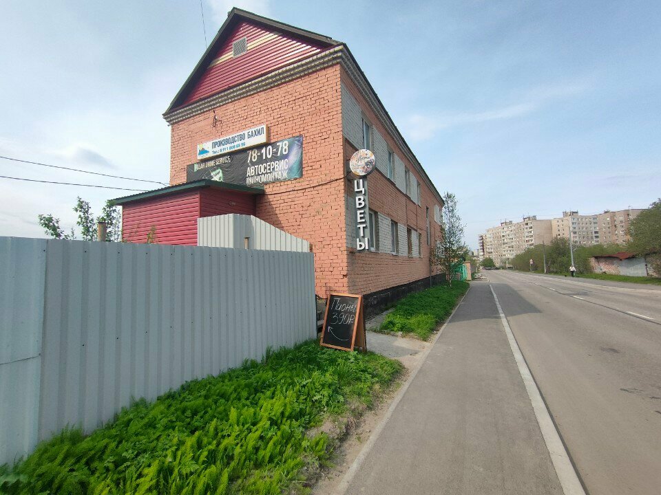 Çiçekçiler Marsel, Murmansk, foto