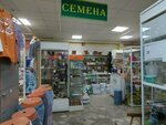 Семена (250 letiya Chelyabinsk Street No:11), tohum satan yerler  Çeliabinsk'ten