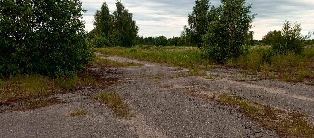 Hava meydanı аэродром Заборовье, Pskovskaya oblastı, foto