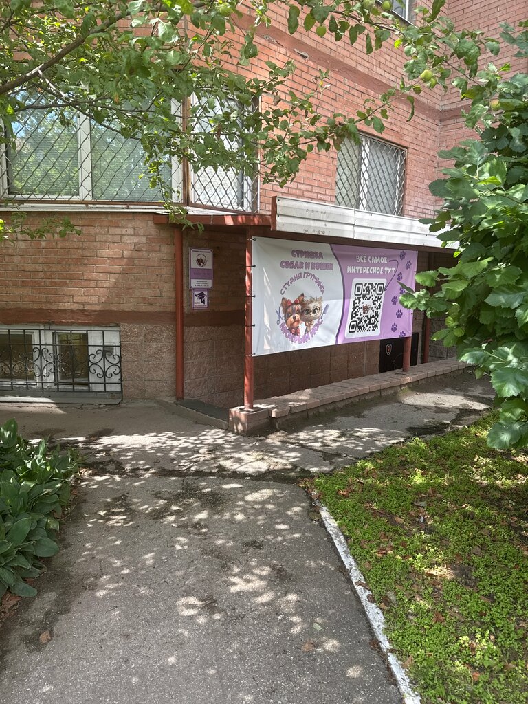 Evcil hayvan kuaförleri Мокрый нос, Tolyatti (Togliatti), foto
