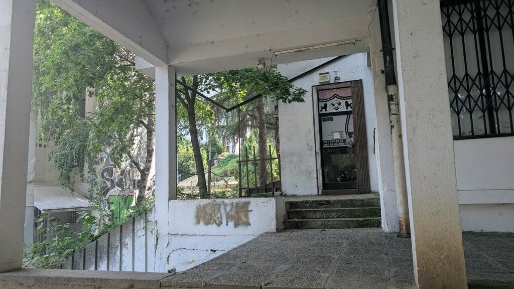 Evcil hayvan kuaförleri Dog Artist By Anja, Belgrad, foto