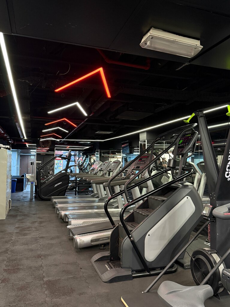 Fitness kulüpleri The Marina Gym, Dubai, foto
