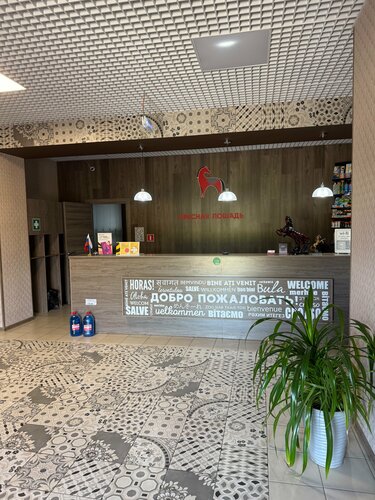 Otel Red Horse, Penzenskaya oblastı, foto