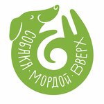Собака Мордой Вверх (Korolyova Avenue No:61), yoga stüdyosu  Saint‑Petersburg'dan