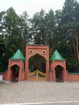 Святой ключ (Republic of Tatarstan, Alekseyevskiy rayon, Bilyarskoye selskoye poseleniye), pınar, çay  Tataristan'dan