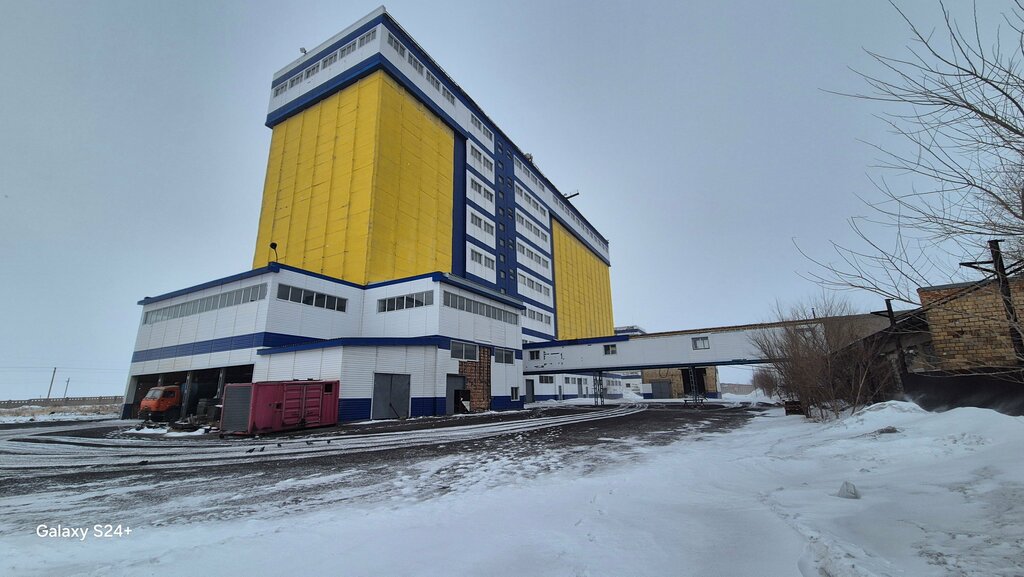 Hayvancılık Volynsky, Karağandı eyaleti, foto