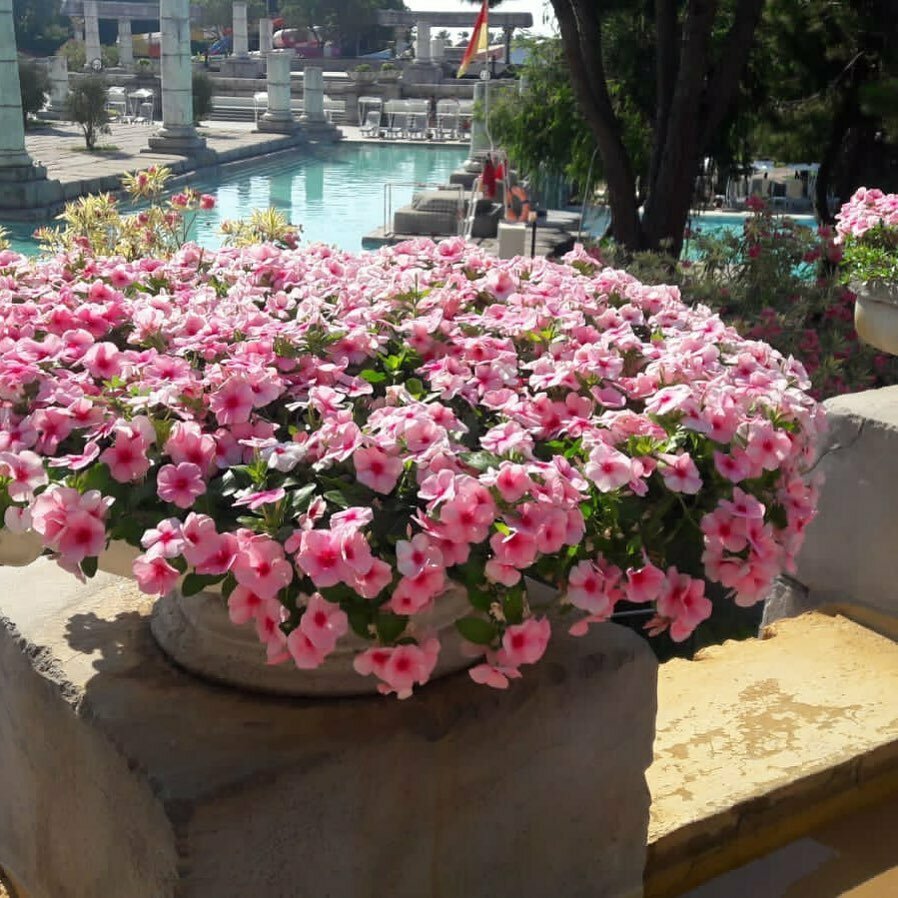 Peyzaj tasarımı Ekovizyon Peyzaj, Antalya, foto