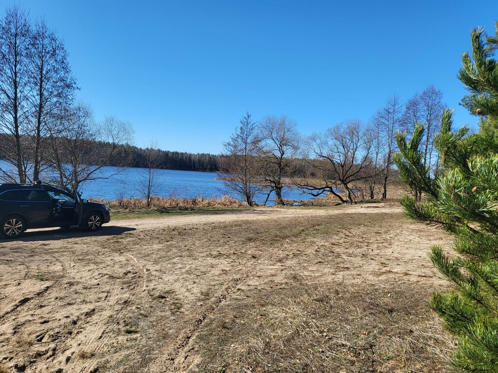 Plaj Лапичский пляж, Mogiliovskaya oblastı, foto