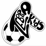 Zebra kids Football school (Ruchyovskaya Road No:100А), spor okulları  Saint‑Petersburg'dan