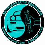 Auto Parts (Yuzhny prospekt No:с29А, Urban-type Settlement of Udelnaya), otomobil yedek parçaları  Moskova ve Moskovskaya oblastından