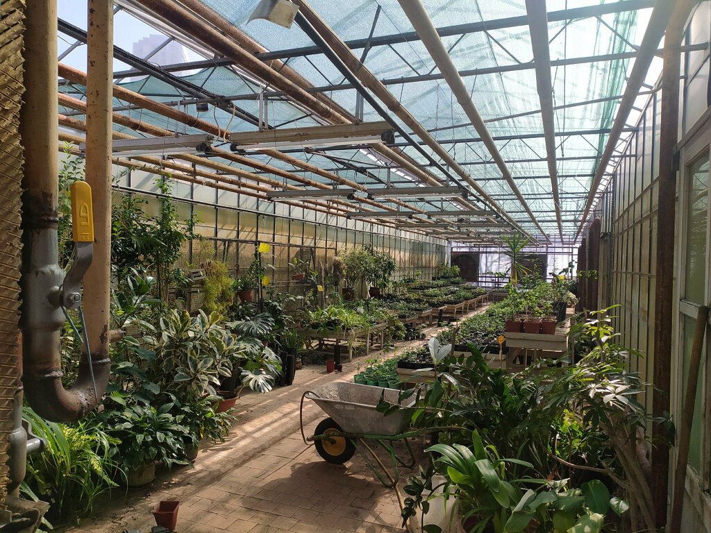 Eğitim altyapısı Yarosalvl State University Faculty of biology and ecology, Yaroslavl, foto