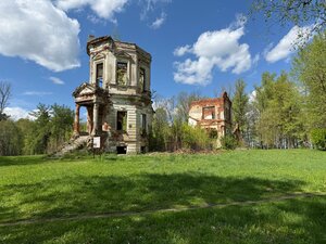 Руины усадьбы Святских Старая Белица (Viciebskaja voblasc, Siennienski rajon, Bielicki sielsaviet, ahraharadok Polymia), turistik yerler  Vitebskaya oblastından