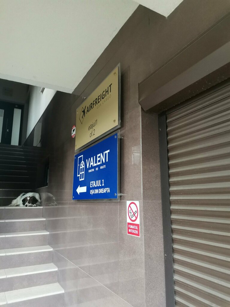Lojistik firmaları Airfreight, Kişinev, foto