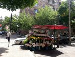 Flowers (Yerevan, Tpagrichner Street), çiçekçiler  Erivan'dan