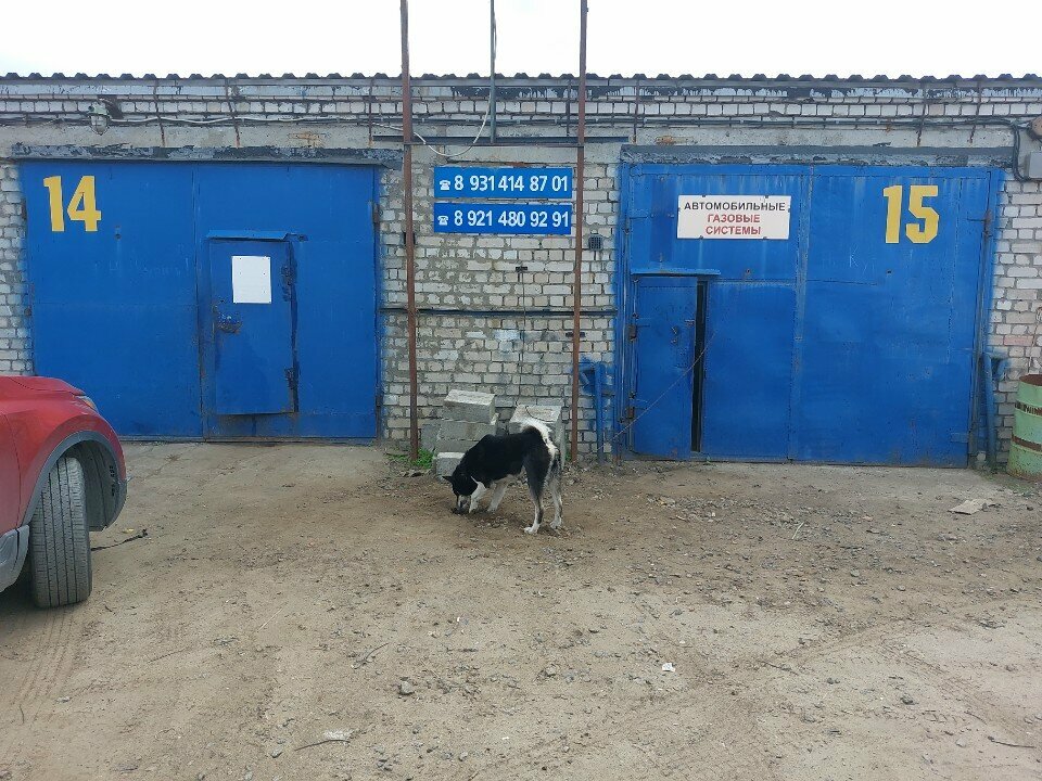 Petrol sondaj ekipmanları Auto gas service, Severodvinsk, foto