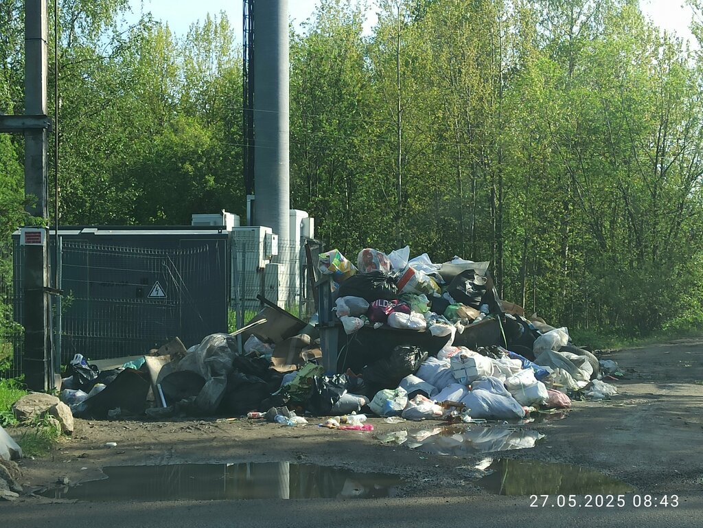 Çöp alanları Trash and garbage disposal area, Saint‑Petersburg, foto