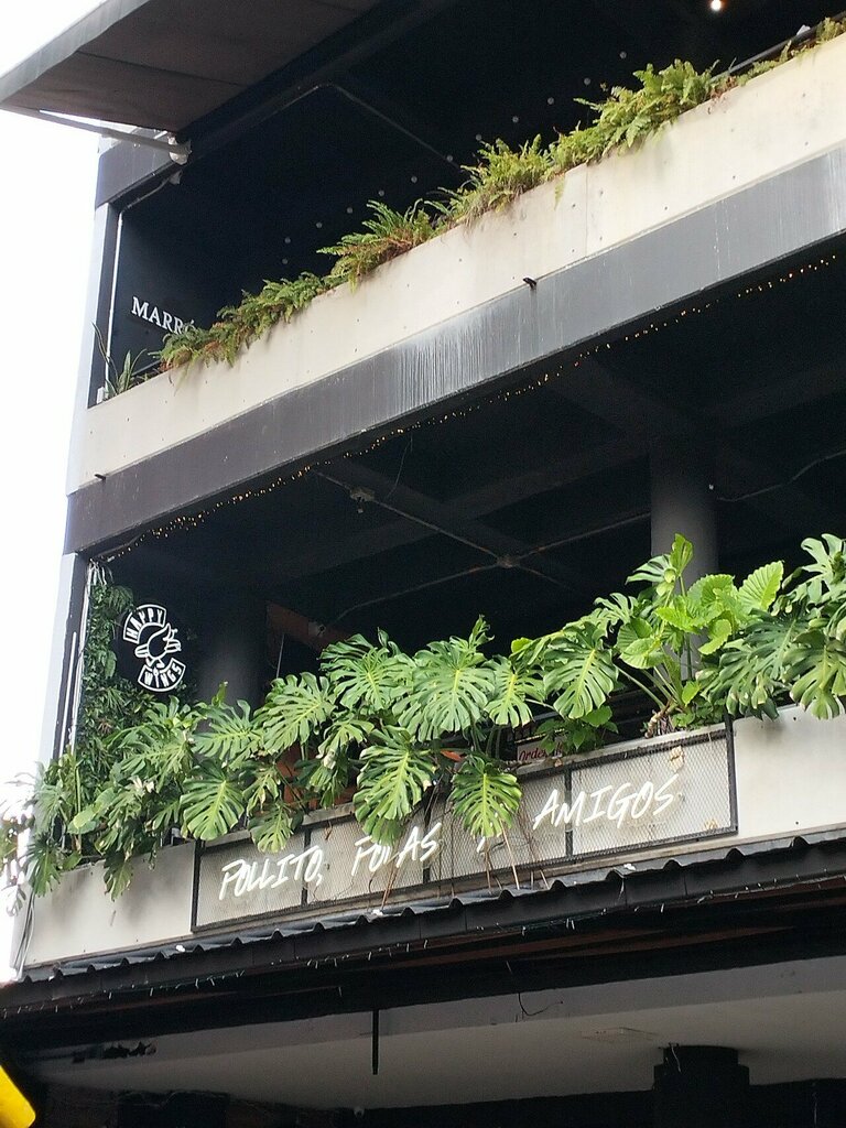 Kafe Happy Wings, , foto