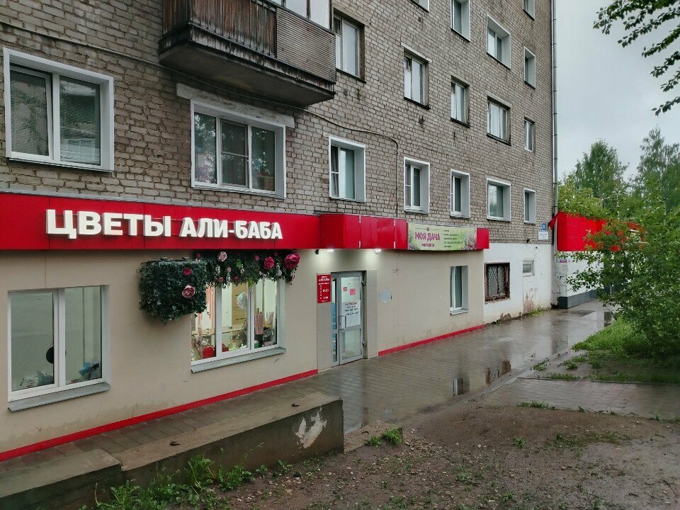 Bahçecilik mağazaları Magazin Moya dacha, Kirov, foto