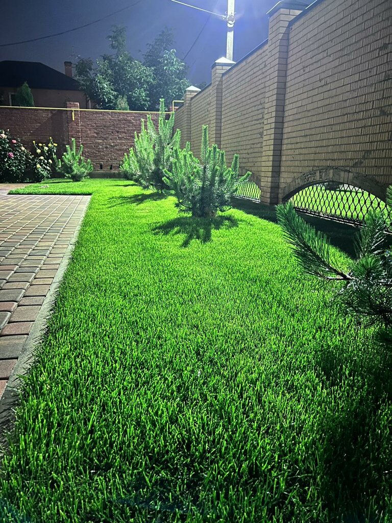 Peyzaj tasarımı Jivoy Gazon, Krasnodar, foto