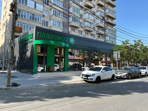 Paulownia (ulitsa Kerimova No:35), kafe  Makhachkala'dan
