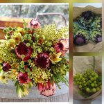 Taha Floral Trading (Al Wasa Ha Building, Al Souq Al Kabeer, Bur Dubai, Dubai), çiçekçiler  Dubai'den