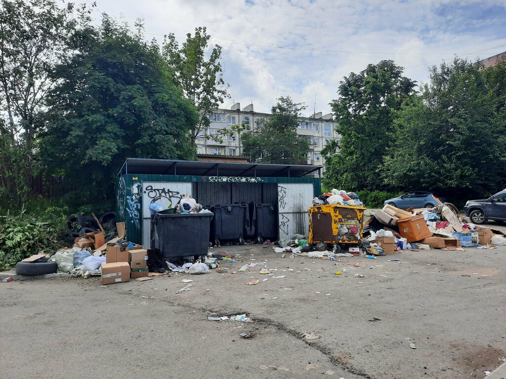 Çöp alanları Trash and garbage disposal area, Petrozavodsk, foto