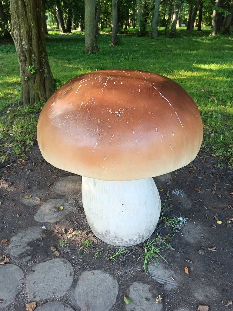 Park, sokak heykeli Маслёнок, Zelenogradsk, foto