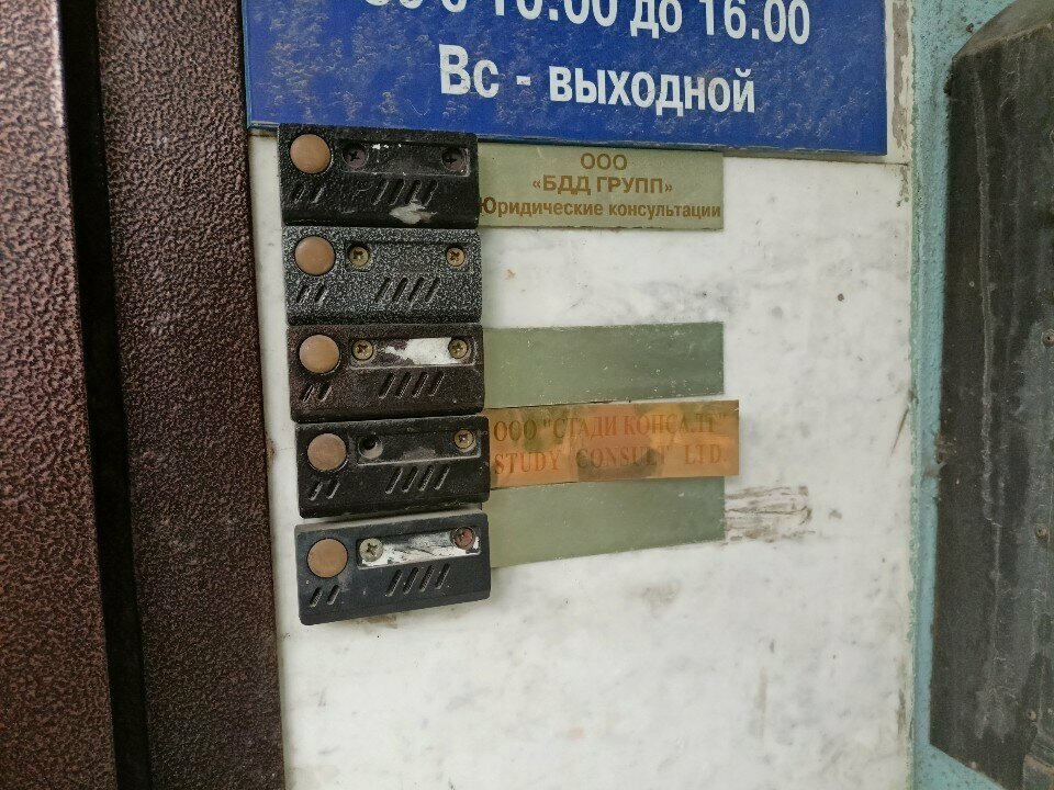 Danışmanlık hizmetleri Стади консалт, Moskova, foto