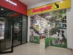 Zooservis (Prezidentskiy Boulevard No:20), petshop  Cheboksary'den