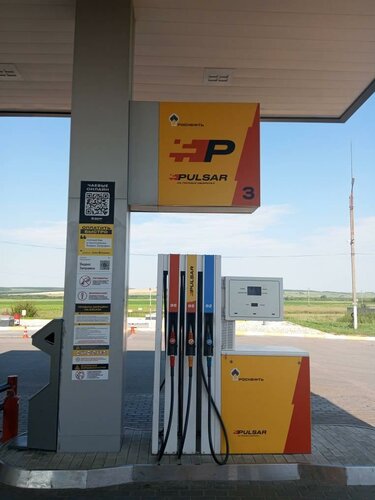 Benzin istasyonu Rosneft, Ulyanovskaya oblastı, foto