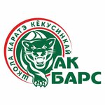 Школа Каратэ Кёкусинкай (Fatykha Amirkhana Street No:1Г), spor okulları  Kazan'dan