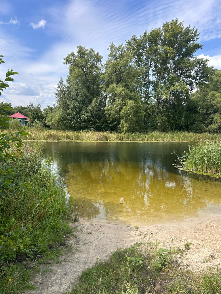 Plaj Beach, Tambovskaya oblastı, foto