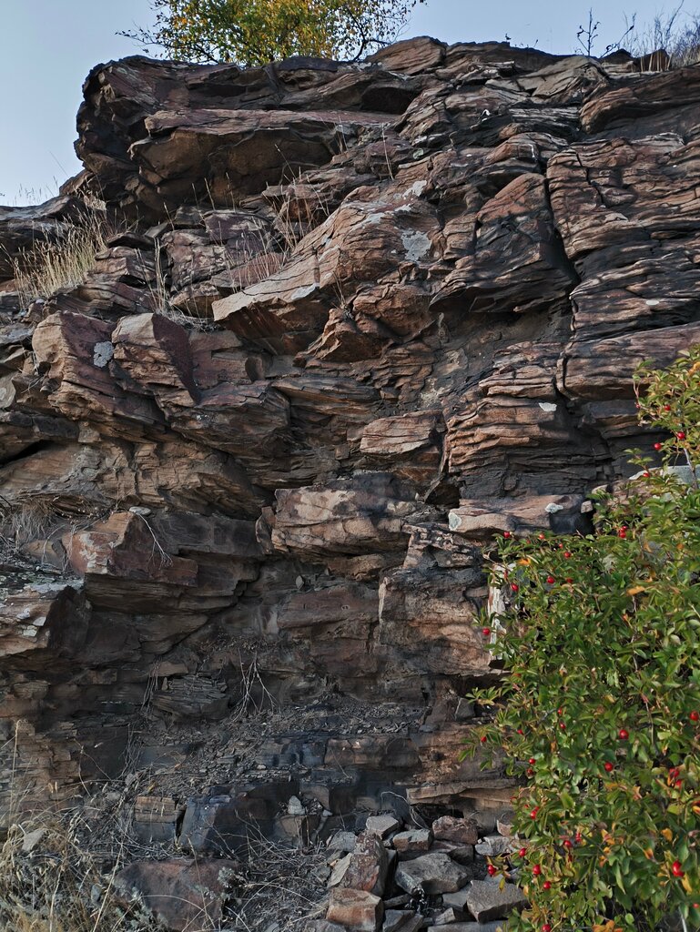 Anıt, heykel Казачьей семье, Donetsk, foto