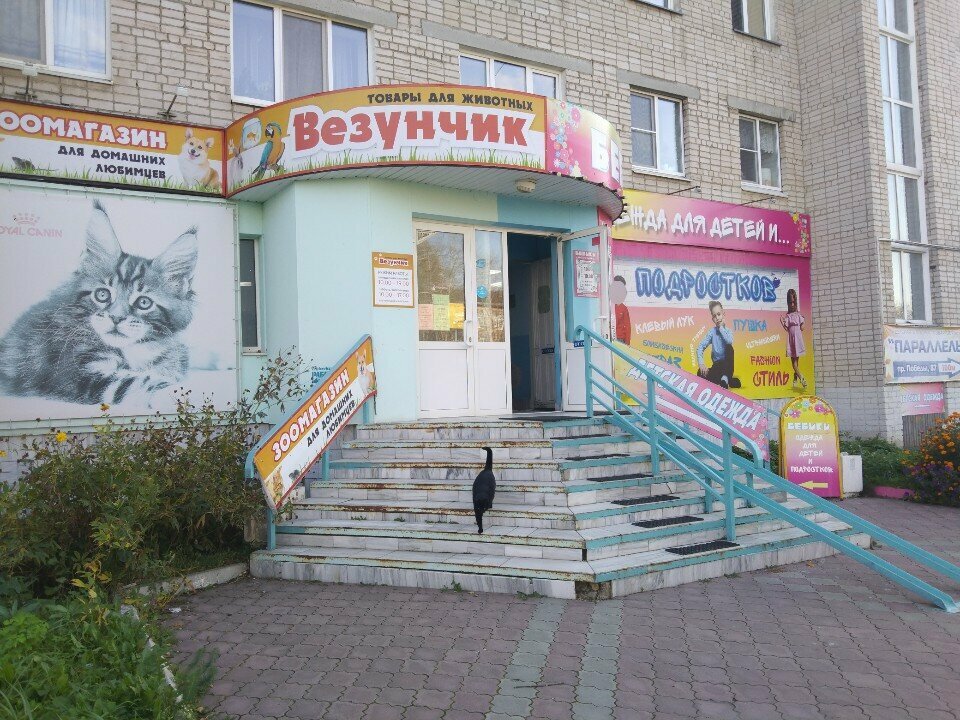 Petshop Везунчик, Kamensk‑Uralski, foto