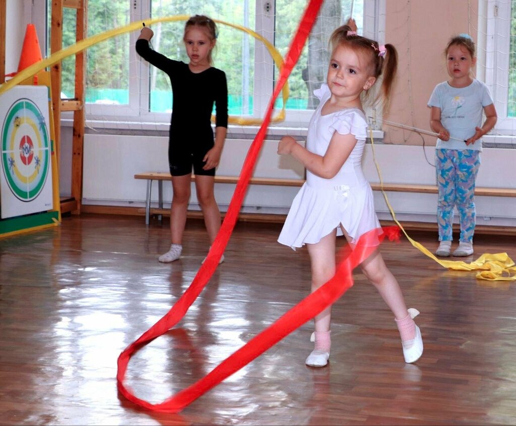 Spor kulüpleri Художественная гимнастика, Moskova, foto