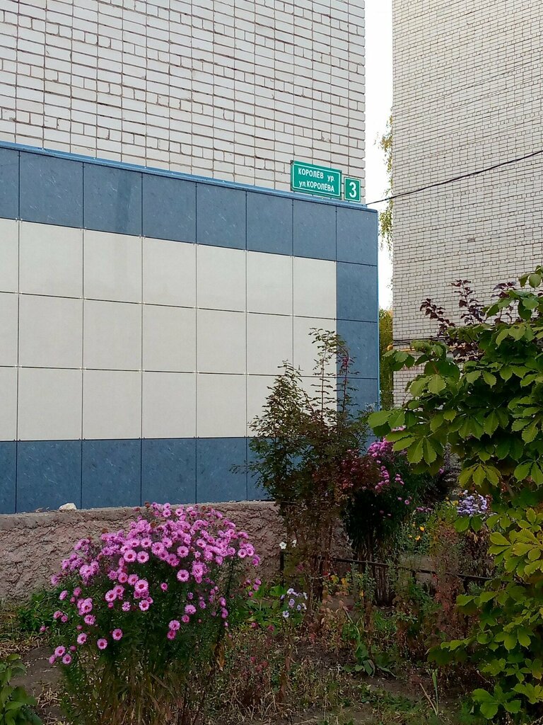 Zemin döşeme üretim ve satış firmaları Европол, Zelenodolsk (Yeşel Üzen), foto