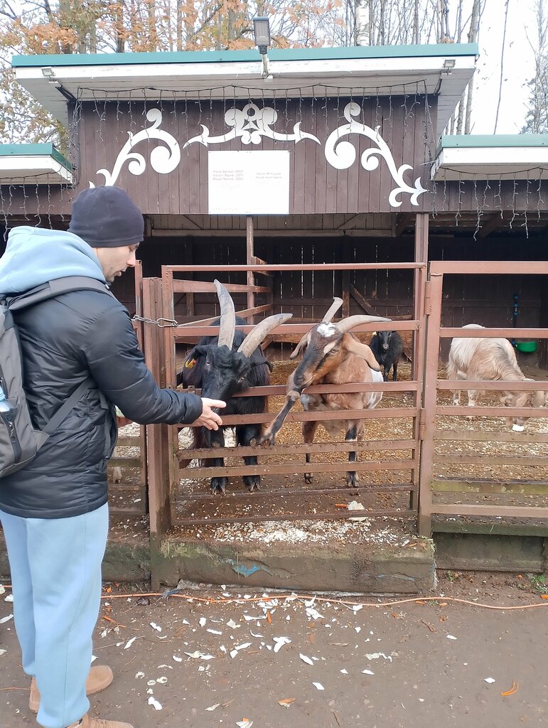 Hayvan muhafazaları Мини-ферма, Saint‑Petersburg ve Leningradskaya oblastı, foto