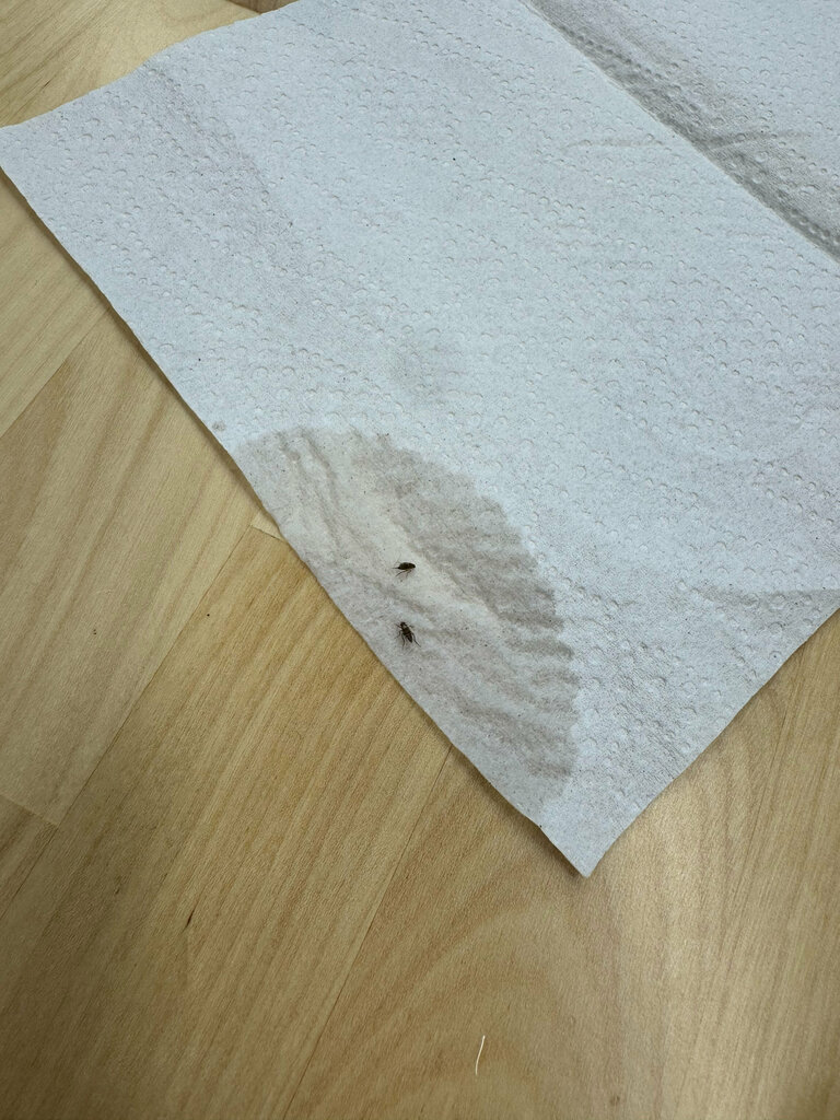 Market Zhiznmart, Kazan, foto