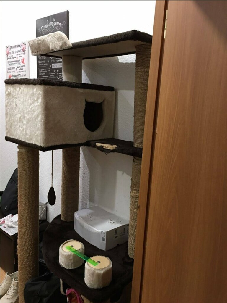 Petshop Царапки Когтеточки, Yekaterinburg, foto