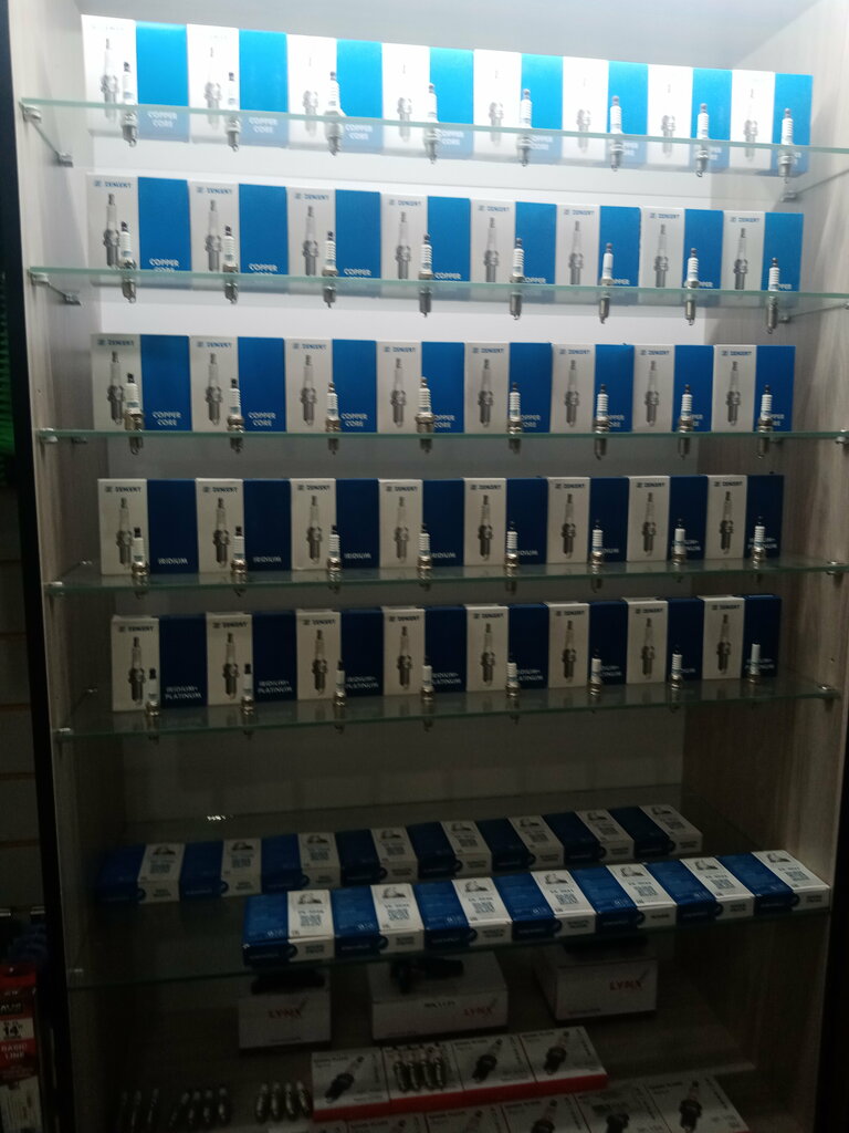 Otomobil yedek parçaları V8, Mikhaylovsk, foto