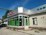 Rahat (Shaltaı Ospanov kóshesi No:70), kafe  Çimkent'ten (Şımkent'ten)