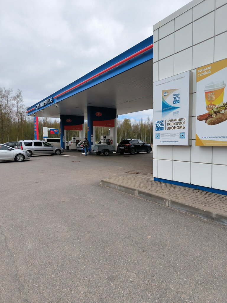 Benzin istasyonu Surgutneftegaz Pskovnefteprodukt, Pskovskaya oblastı, foto